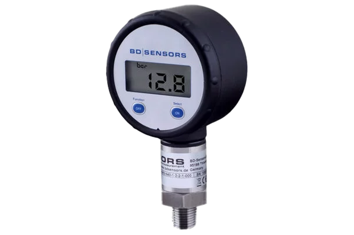 DM 17 Digital Pressure Gauge BD Sensors