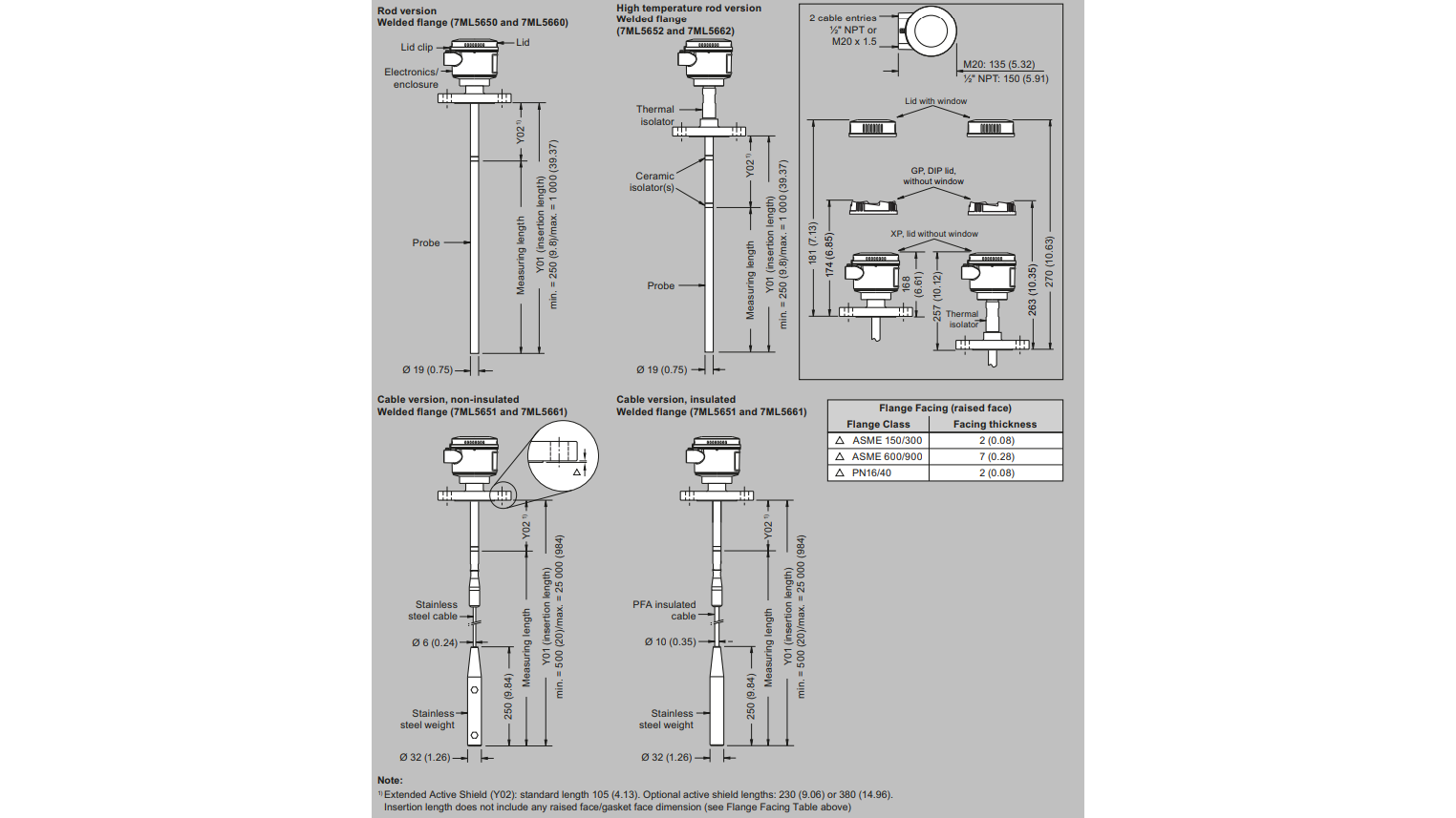 Siemens Pointek CLS300 Capacitive Level Switch