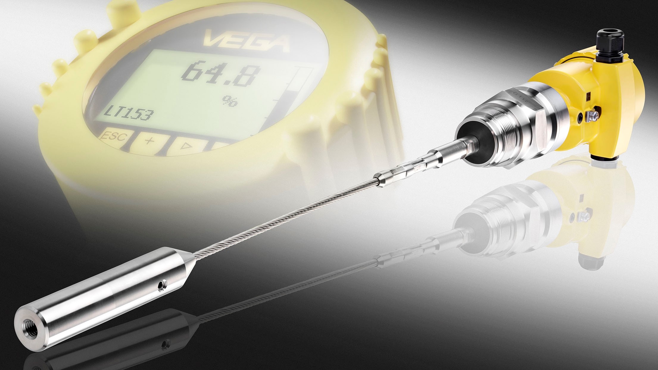 VEGAFLEX 82 - Guided Microwave Radar - Bulk solids